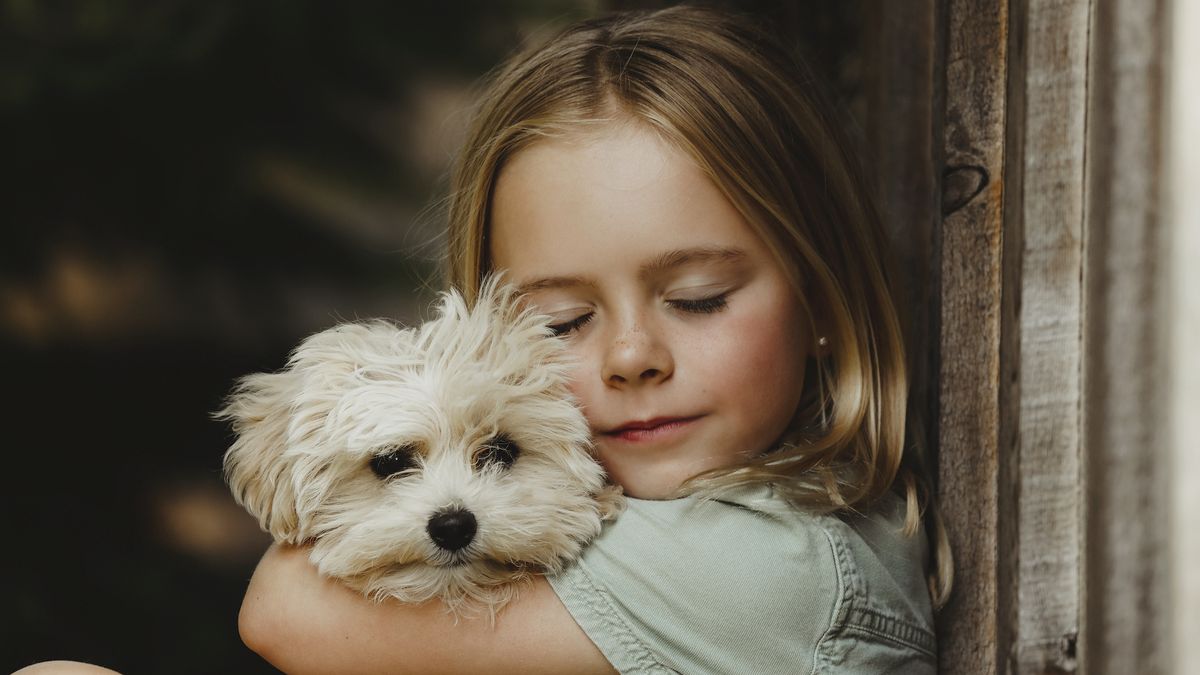 32 best things about owning a dog | PetsRadar