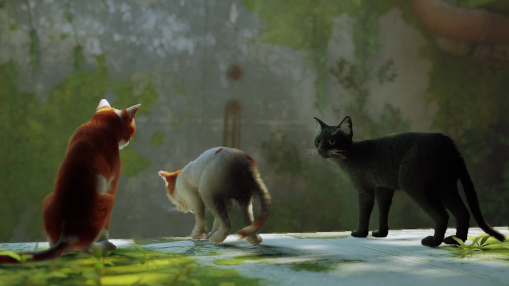 You can now play Stray in splitscreen multiplayer | TechRadar