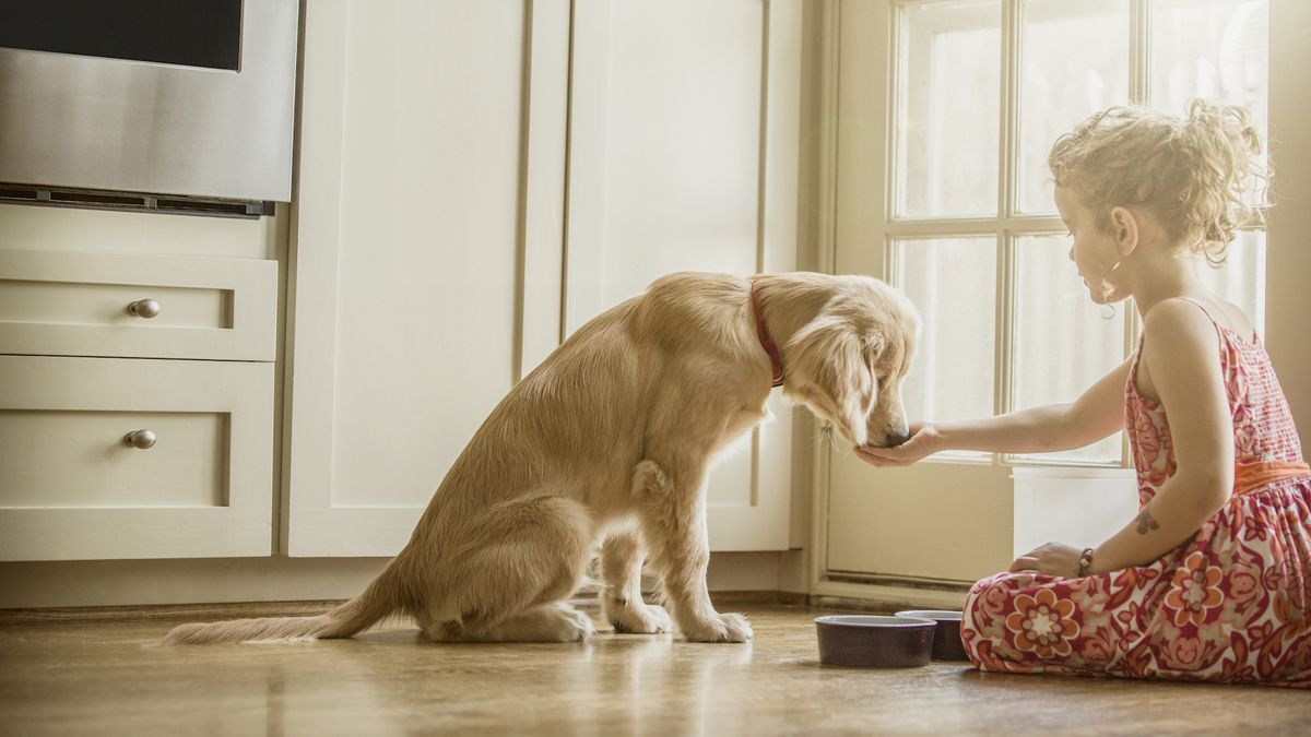 32 best things about owning a dog | PetsRadar