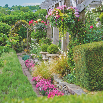 5 ways I make plants grow faster in my garden | Ideal Home