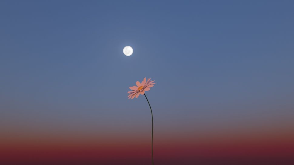 May's full 'Flower Moon' rises TONIGHT as a micromoon. Here's what that means, and how to watch ...