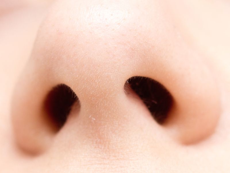How We Smell Things: A Guide to the Human Nose | Live Science
