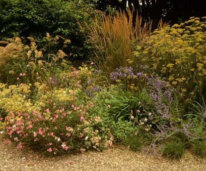 What is prairie planting? | Homes and Gardens