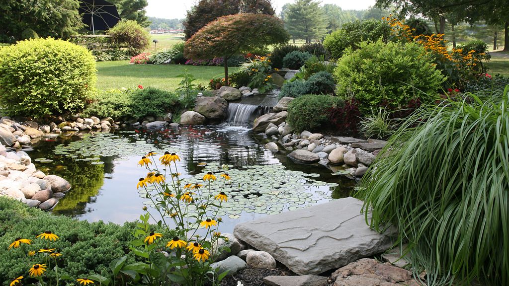 How To Build a Wildlife Pond in Your Backyard | Gardening Know How