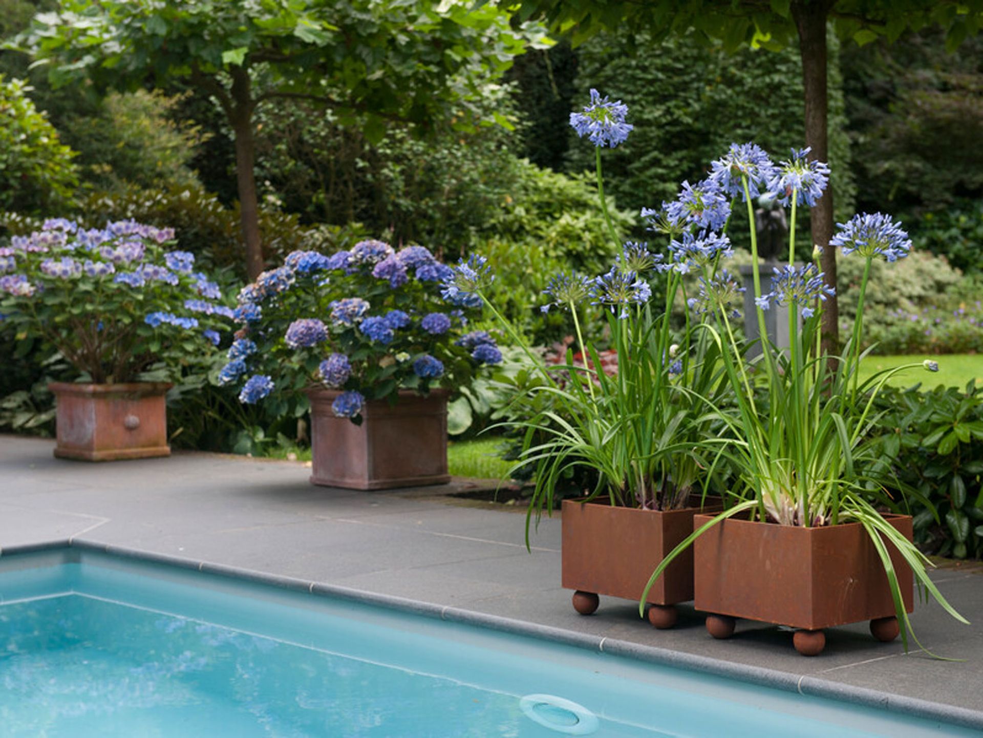 10 best color combinations for flower pots for | Livingetc