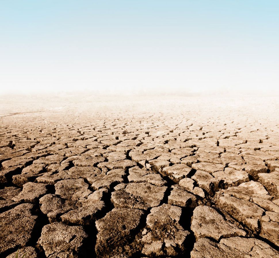 Health Effects of Drought | Live Science