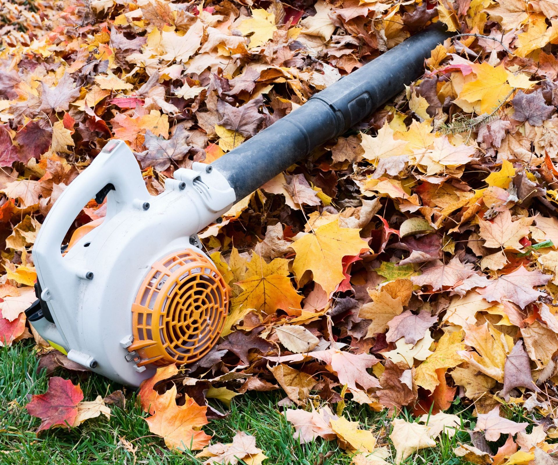 A guide to collecting leaves - where to remove and to leave | Homes and Gardens