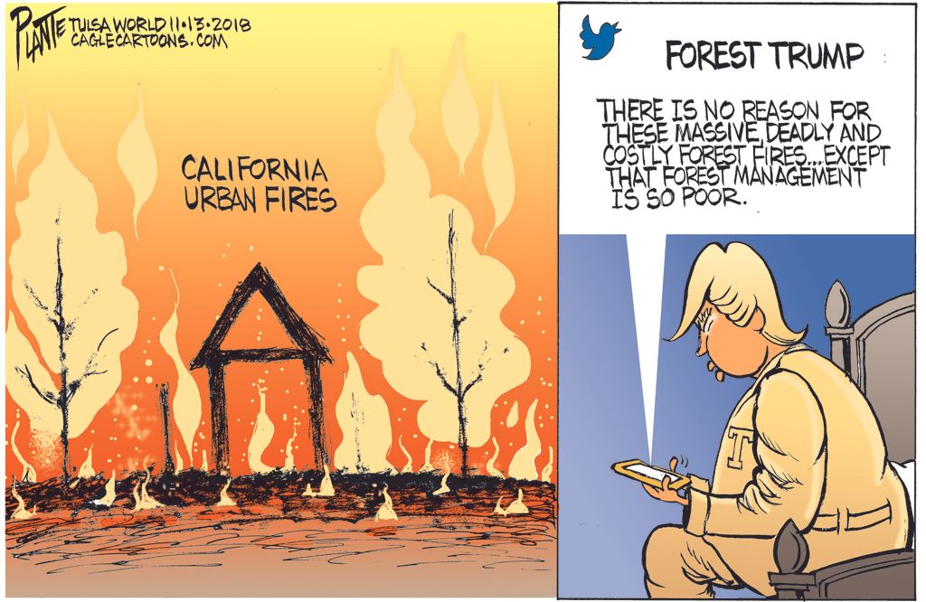 Political cartoon U.S. Trump California urban fires forest management ...