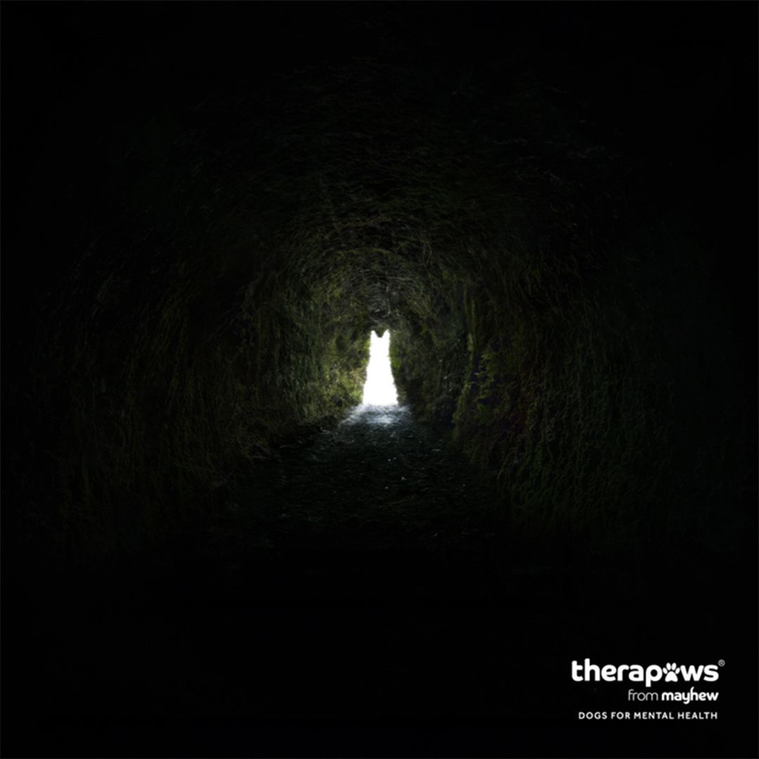 Powerful animal charity ads illuminate the healing power of pets ...