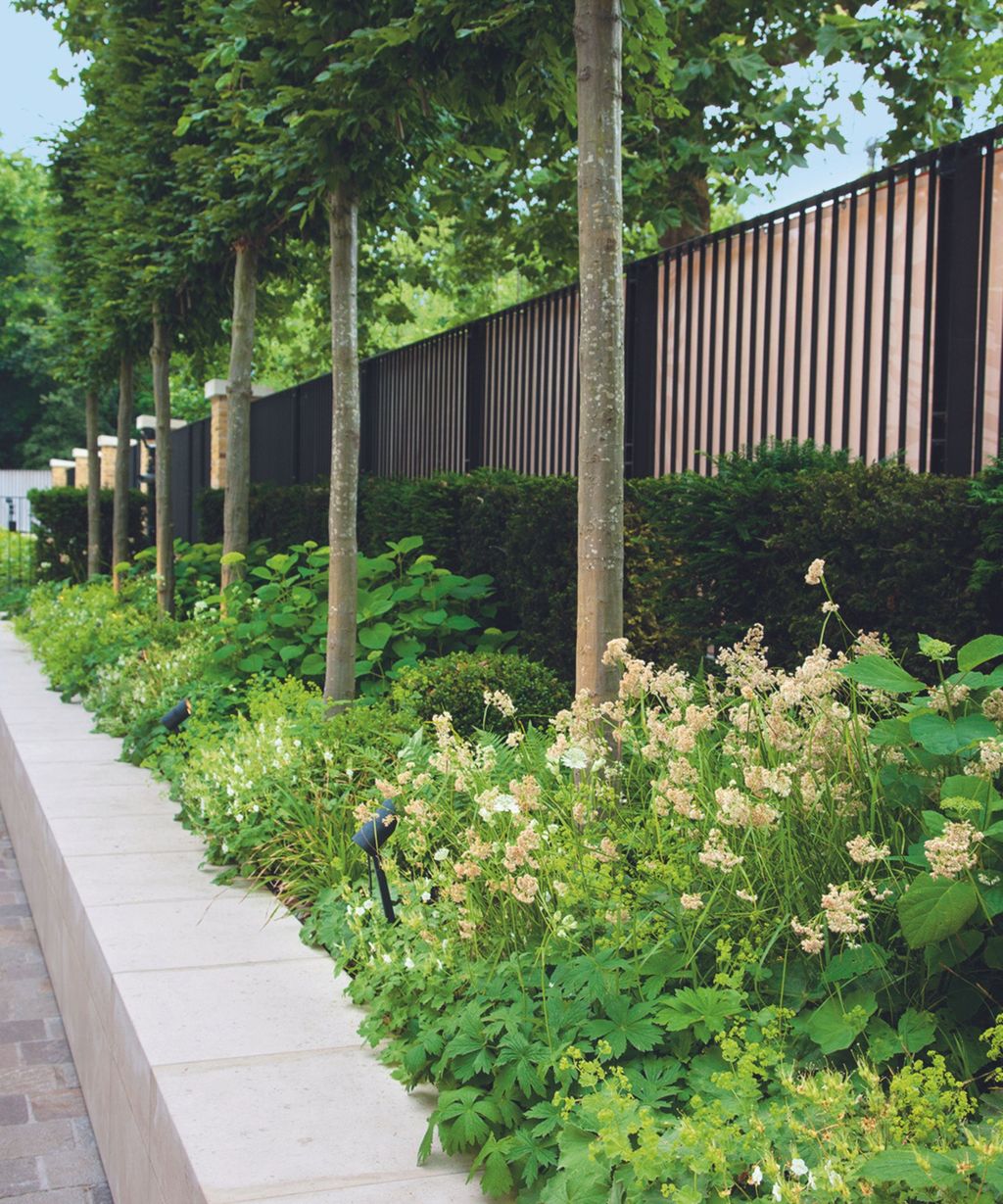 Modern garden ideas: contemporary, climate-positive inspiration | Homes ...