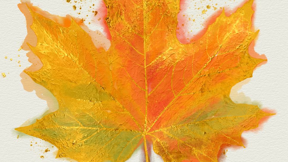 Rebelle 7 review: the most impressive painting software I've used ...