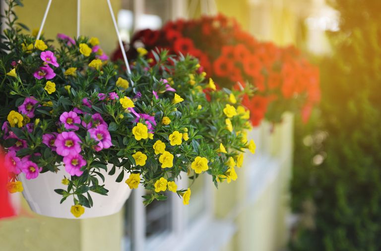 Accessible garden design: 15 ideas for landscaping, paths, planting and ...