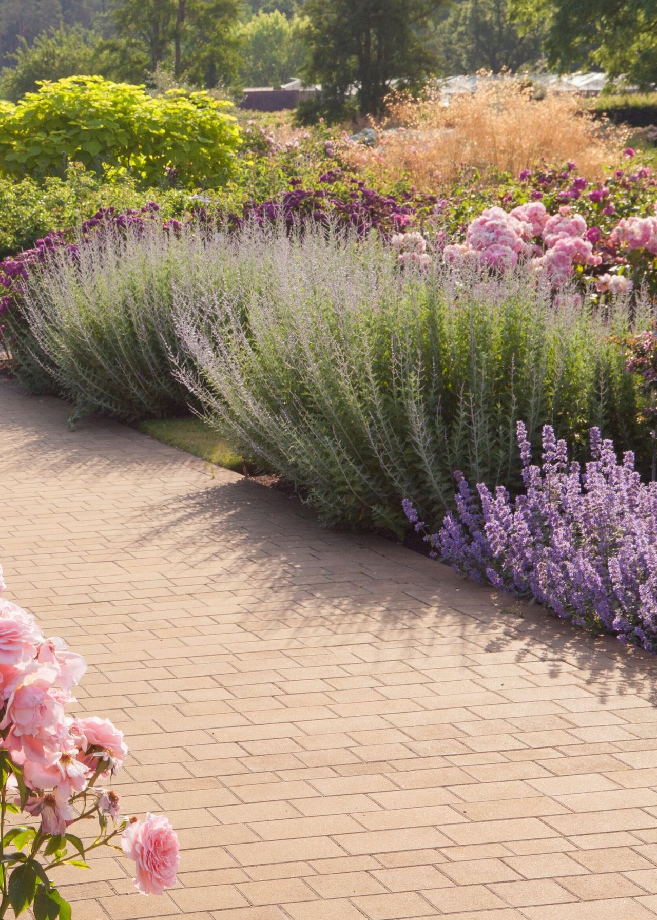 10 Ways to Landscape With Lavender in Your Garden | Livingetc