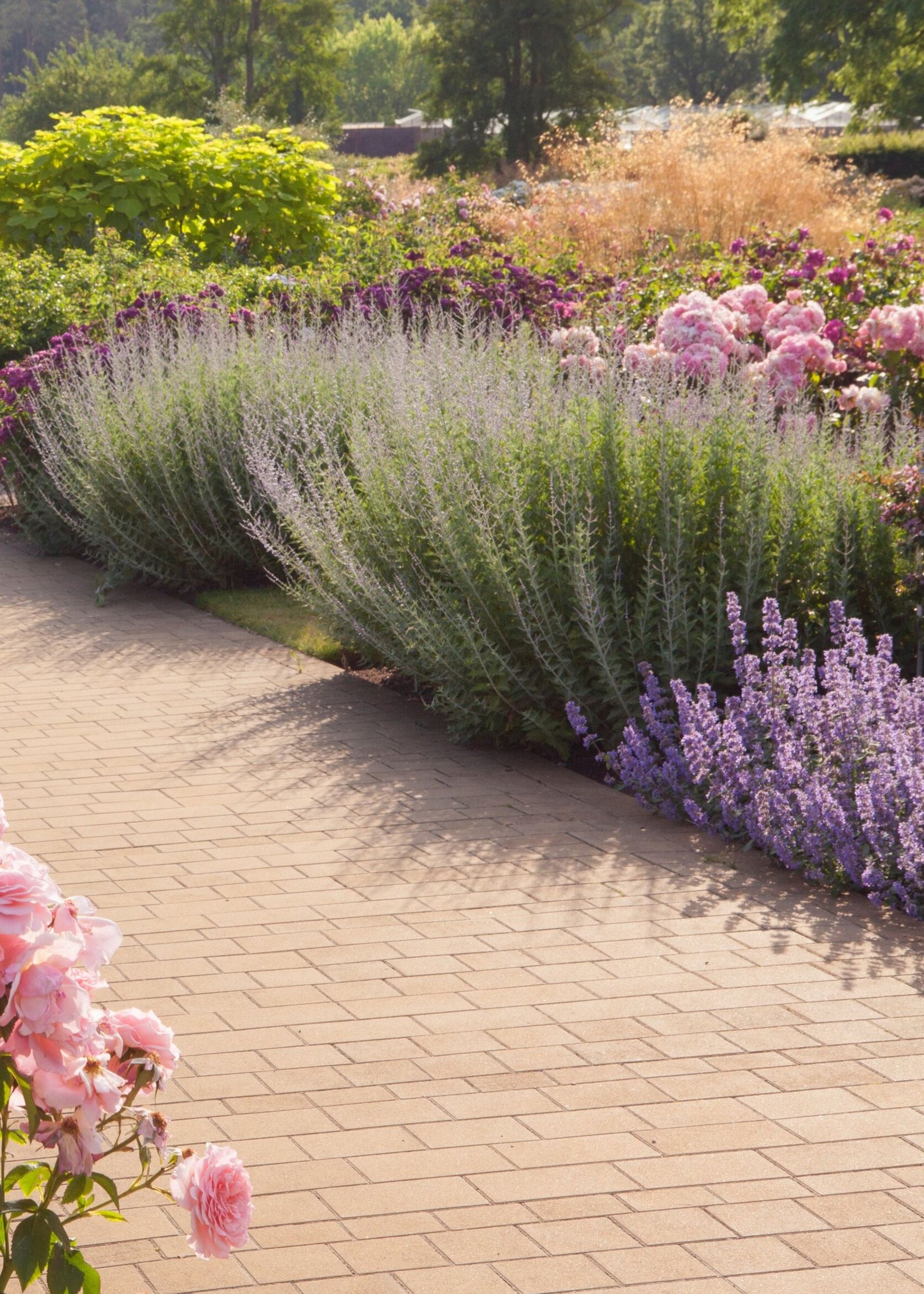10 Ways to Landscape With Lavender in Your Garden | Livingetc