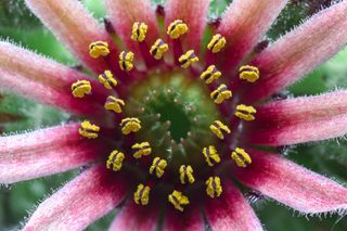 These fill the frame photography examples will help elevate your frame ...