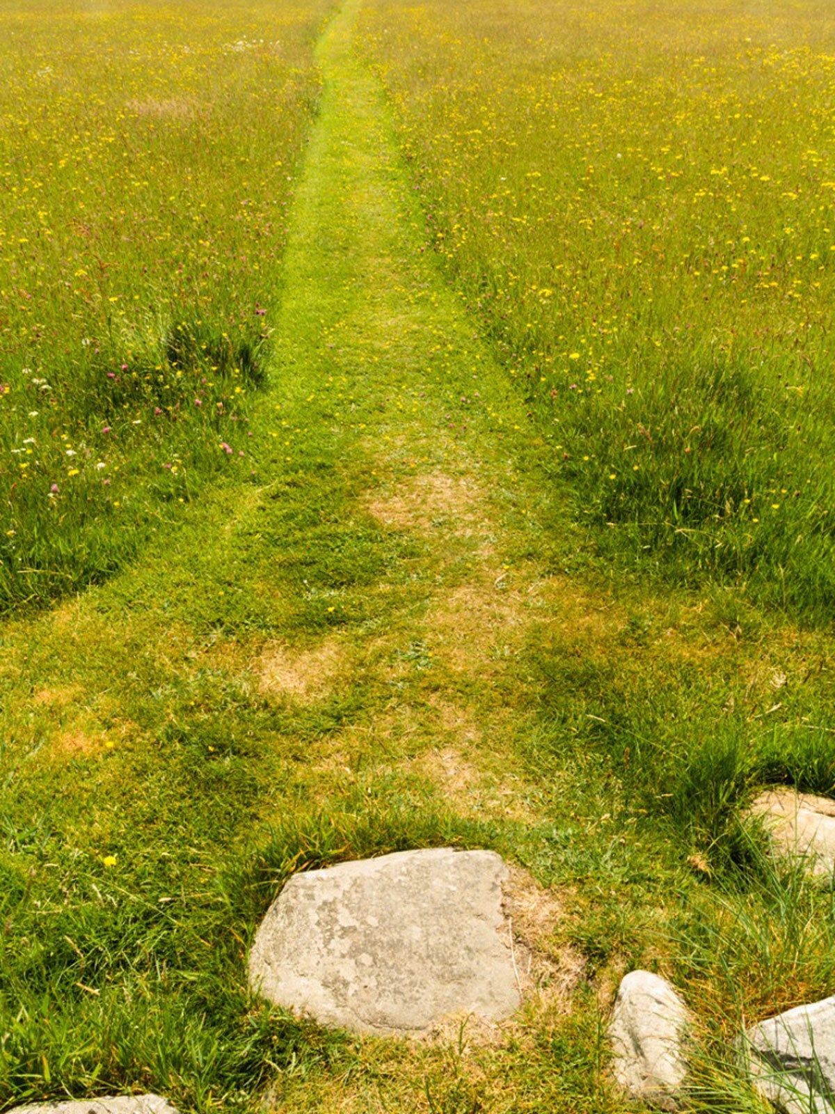 Mowing Grass Paths – How To Make A Grass Path | Gardening Know How