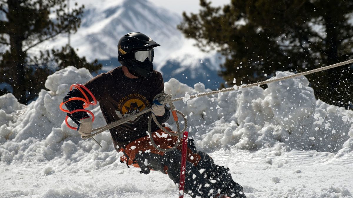 What is skijoring? The winter sport you can do with your dog | Advnture