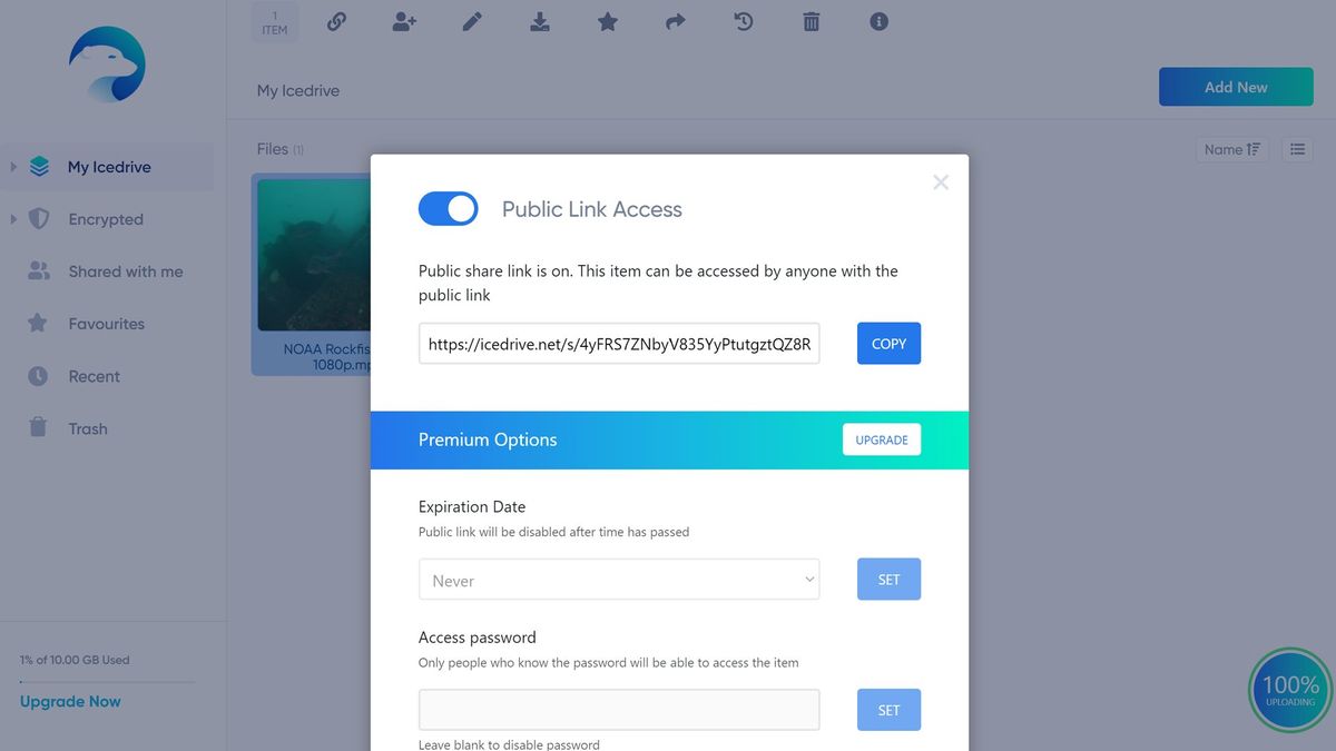 Icedrive cloud storage review | ITPro