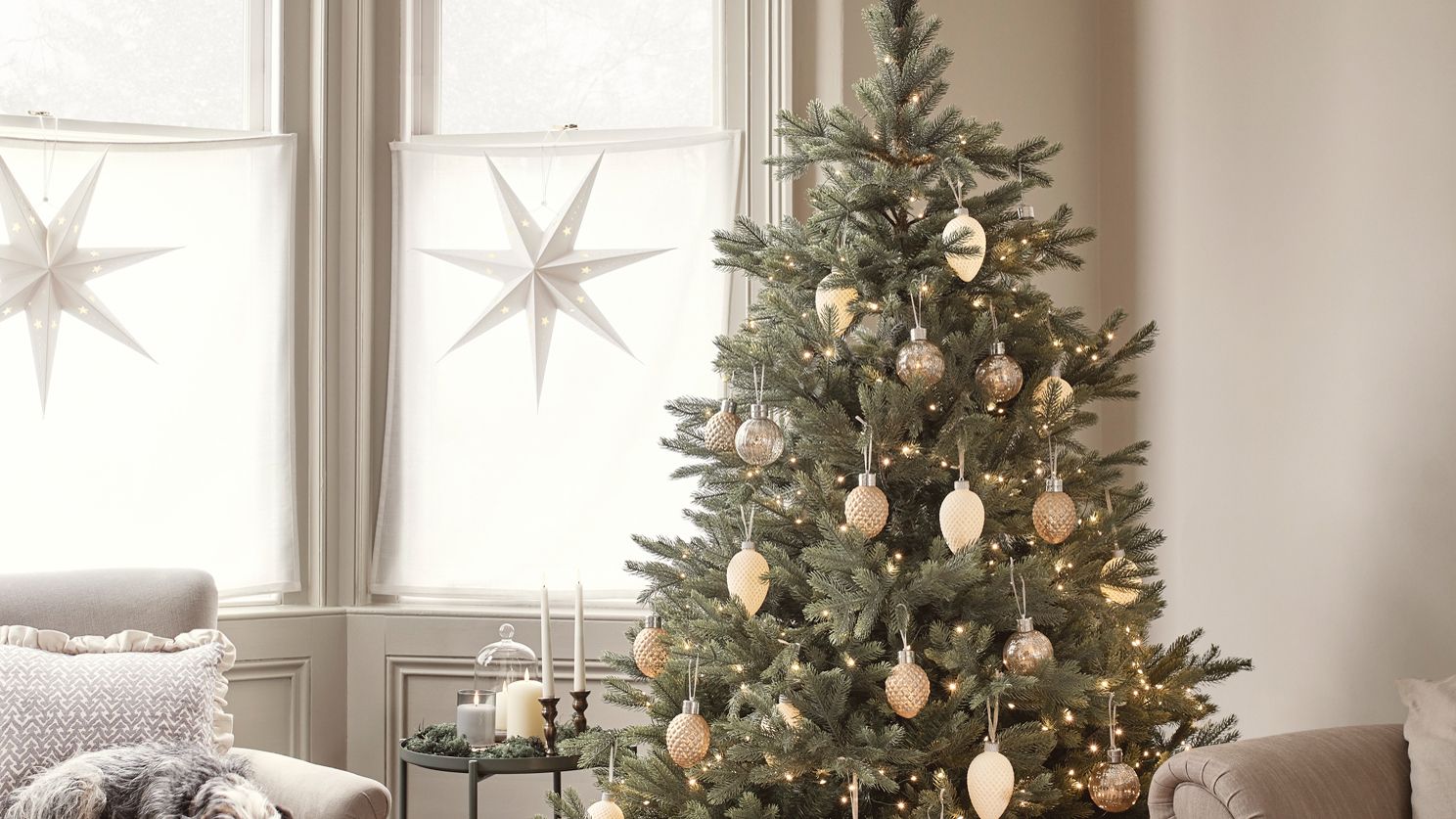 David Domoney reveals his lemonade Christmas tree hack | Gardeningetc