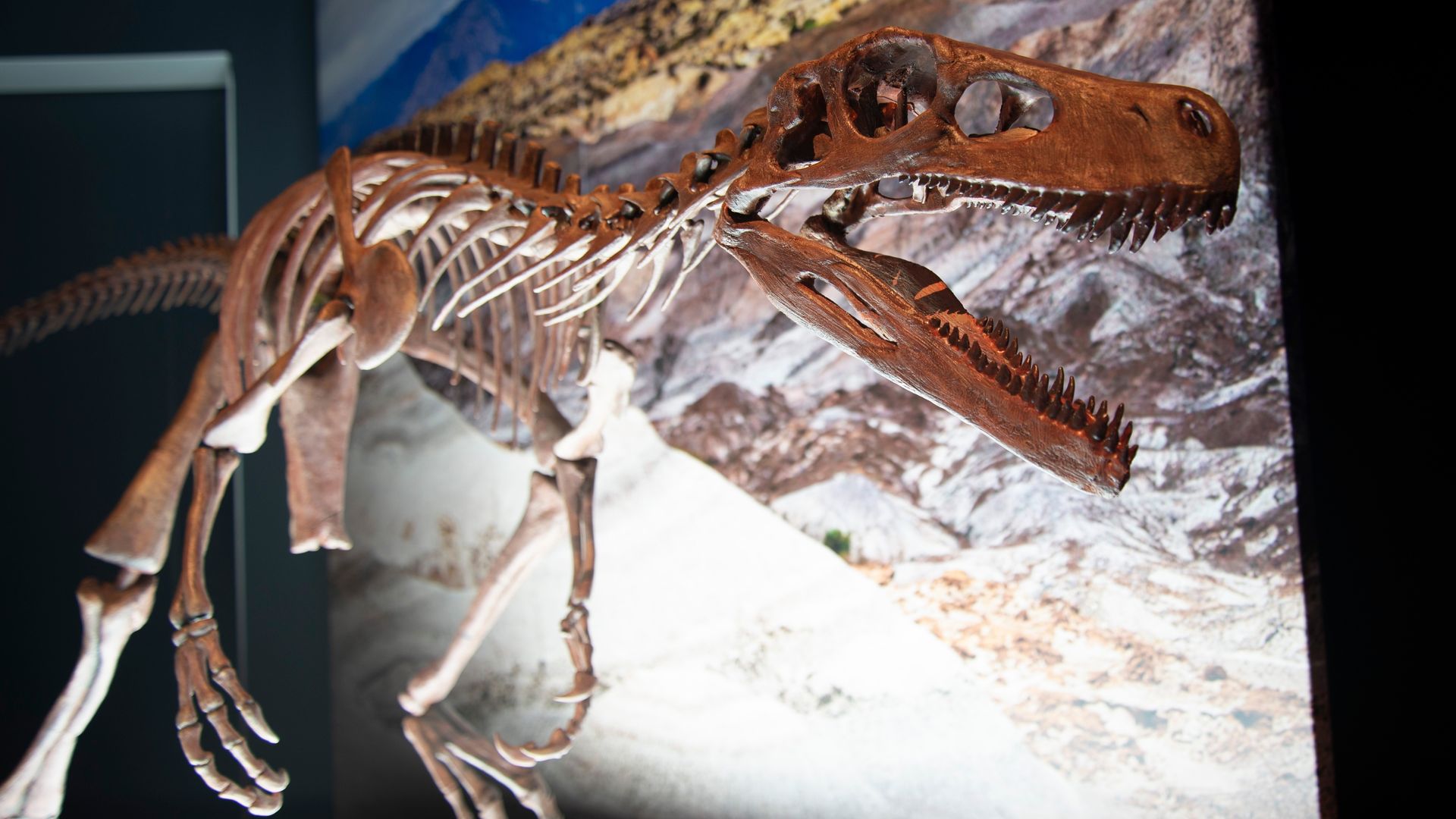 Heavy rains expose one of the oldest dinosaur skeletons ever discovered ...