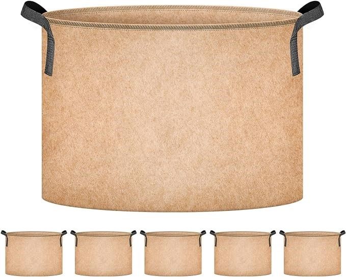 How to use grow bags to grow your fruit and vegetables | Homes and Gardens