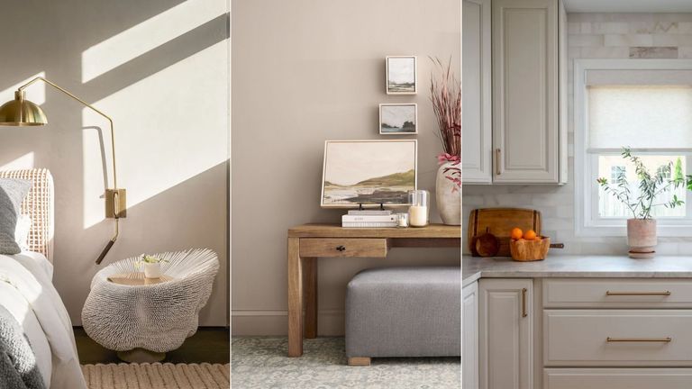 What makes Sherwin-Williams' Realist Beige such a versatile paint ...