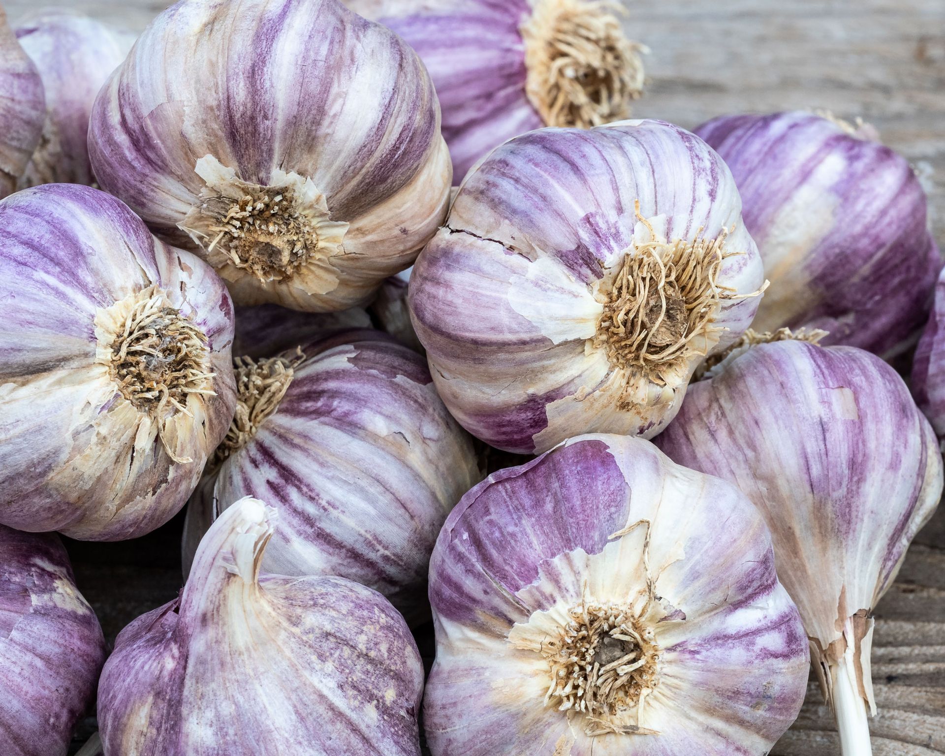 How to grow garlic indoors | Real Homes