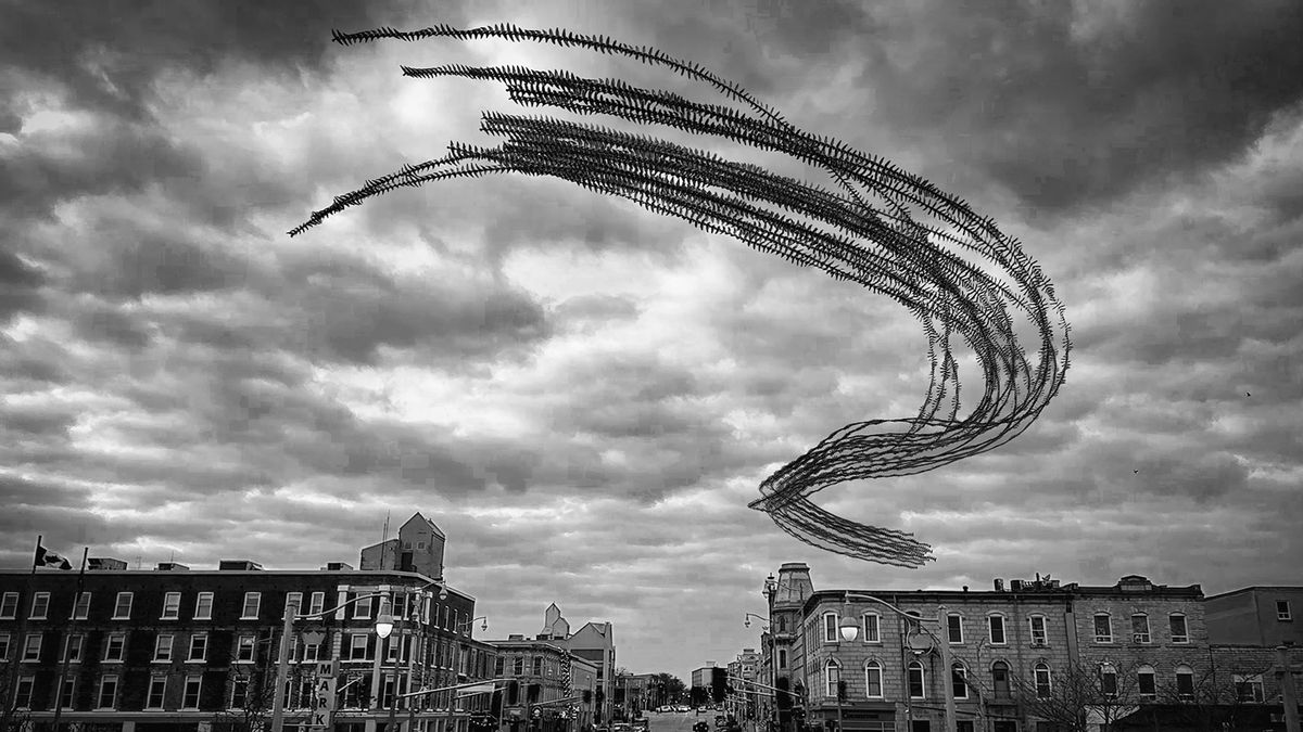 Wildlife photography with a twist: Capture birds in flight with this ...