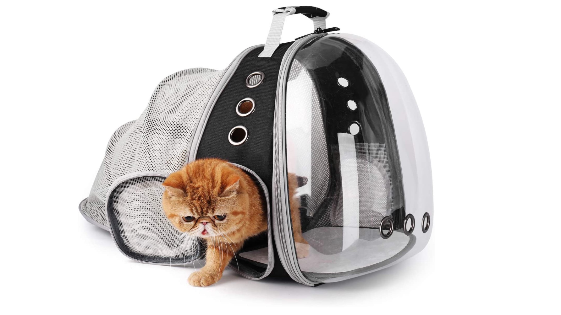 Best cat carriers: Keep your cat safe on your travels | PetsRadar