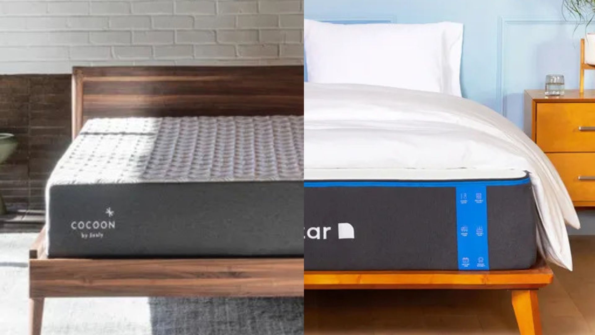 Cocoon by Sealy Chill vs Nectar Mattress: Which should you buy in today ...