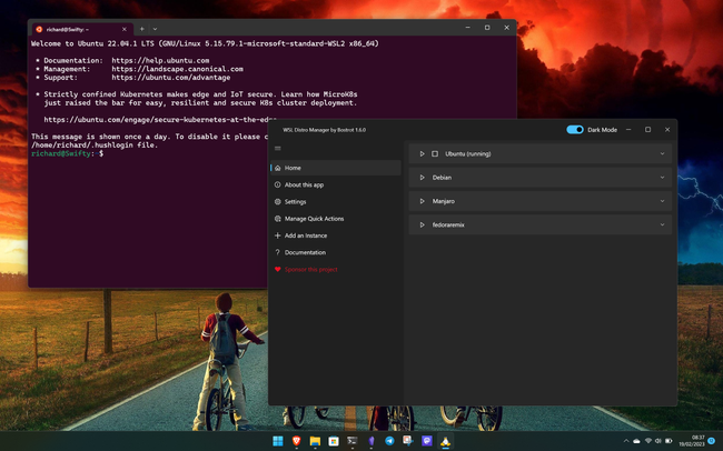 This WSL tool is a must-have if you run many different distros ...