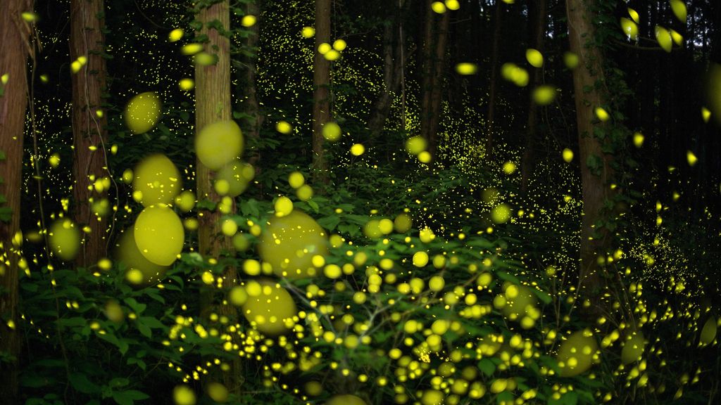 Advanced alien civilizations could be communicating 'like fireflies' in ...