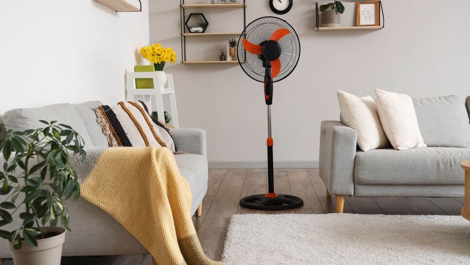5 ways to dry out a room without a dehumidifier — and reduce dampness ...