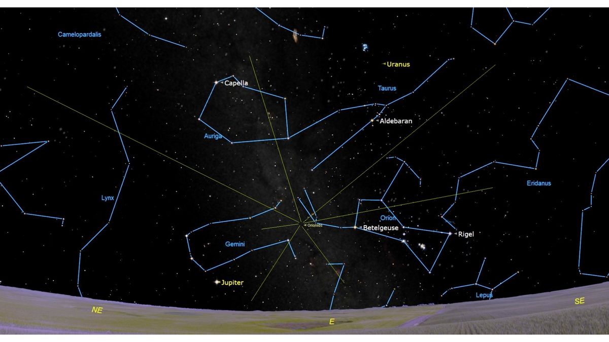 The Orionid meteor shower peaks under dark, moonless skies next week ...