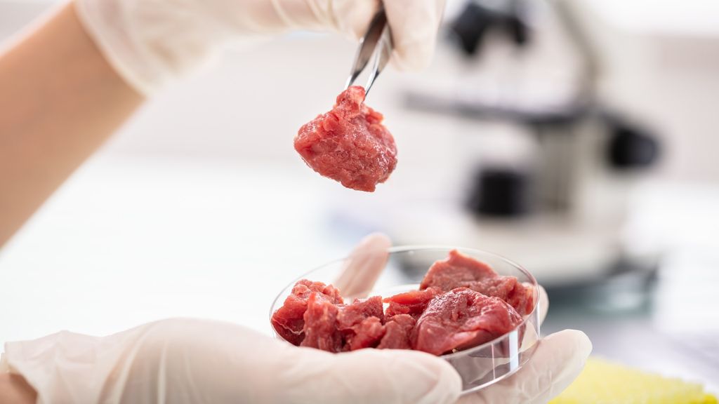 Lab-grown meat: How it's made, sustainability and nutrition | Live Science