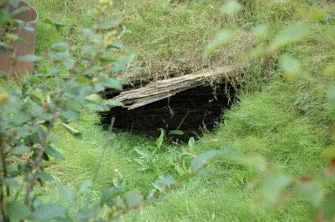 For Sale: Island with Mysterious Money Pit | Live Science