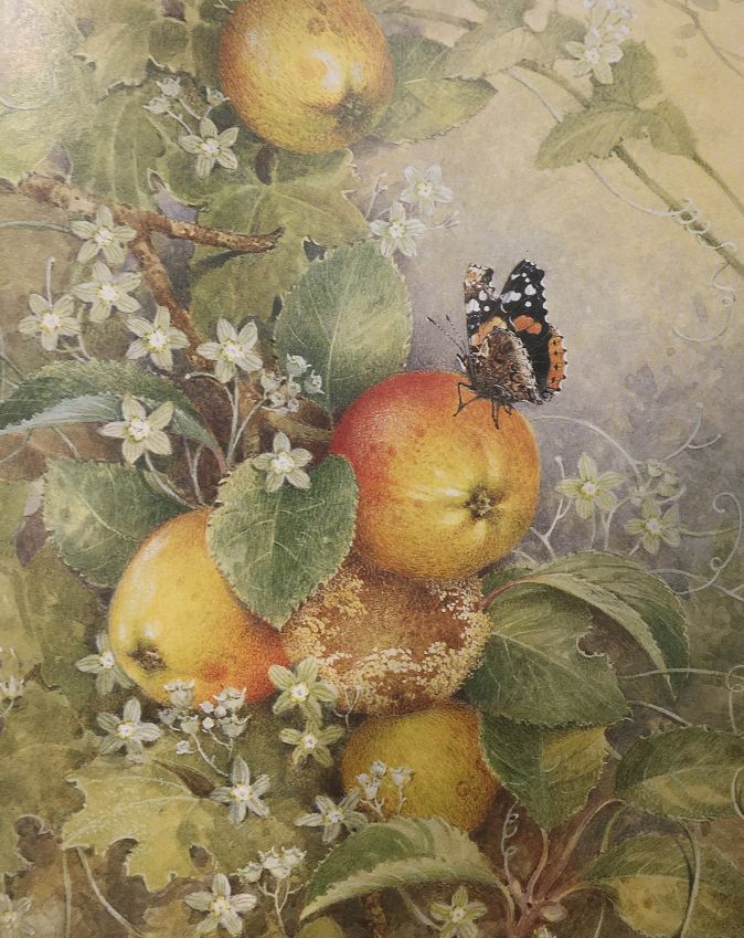 Gordon Beningfield: A celebration of the artist and champion of the ...