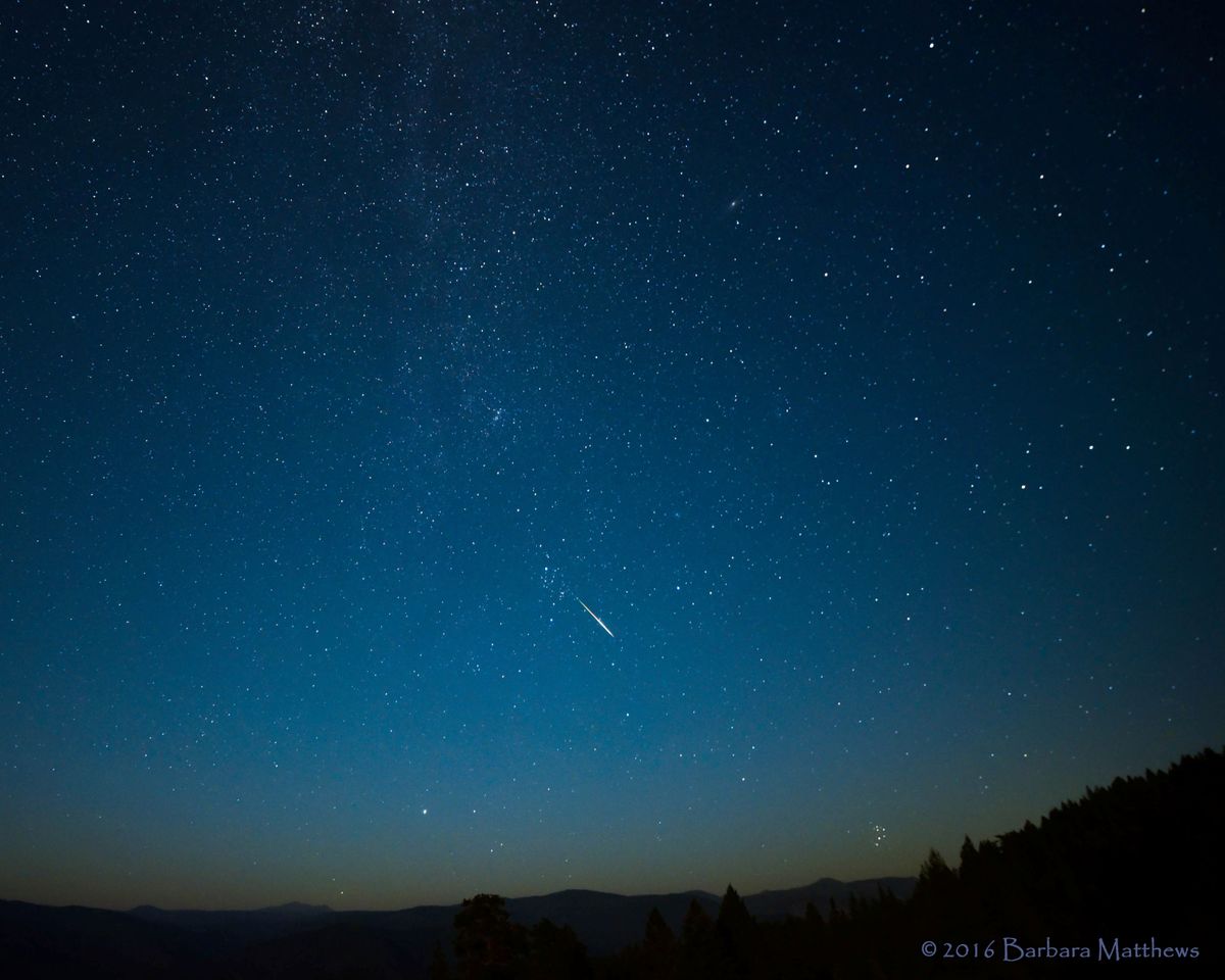 Perseid Meteor Shower Peak Thrills Skywatchers: How You Can Still Watch ...