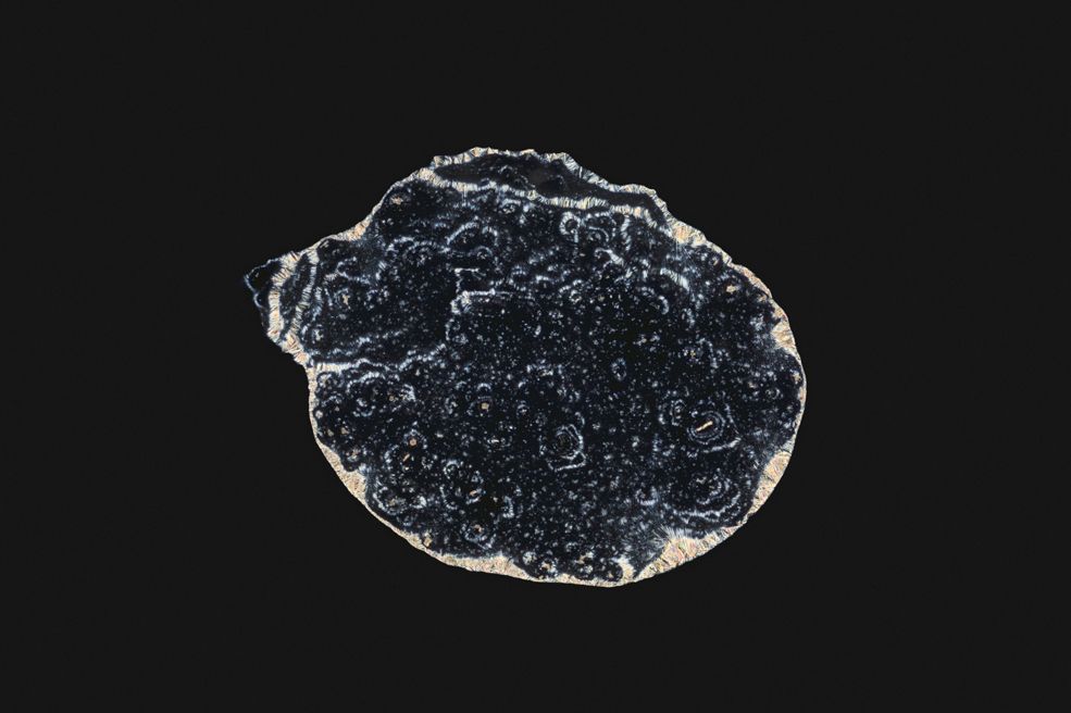 This is what ecstasy looks like under a microscope | The Week