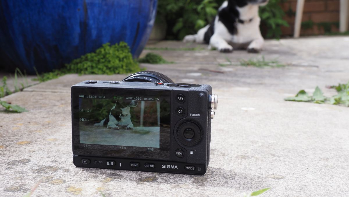 Sigma fp L review | Digital Camera World