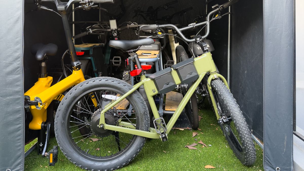 I tried the JackRabbit XG Pro, and it's the ebike version of a jacked ...