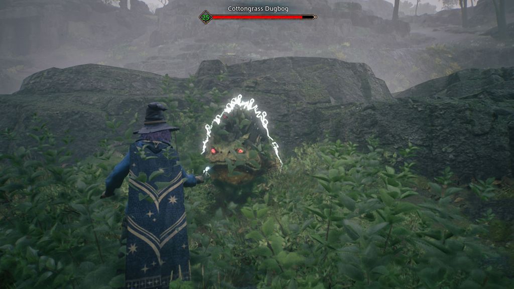 How to get Focus Potions in Hogwarts Legacy | Windows Central