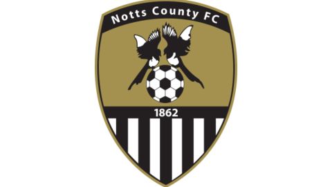 English football badges ranked: 30-11 - Ranked! All 92 Premier League ...