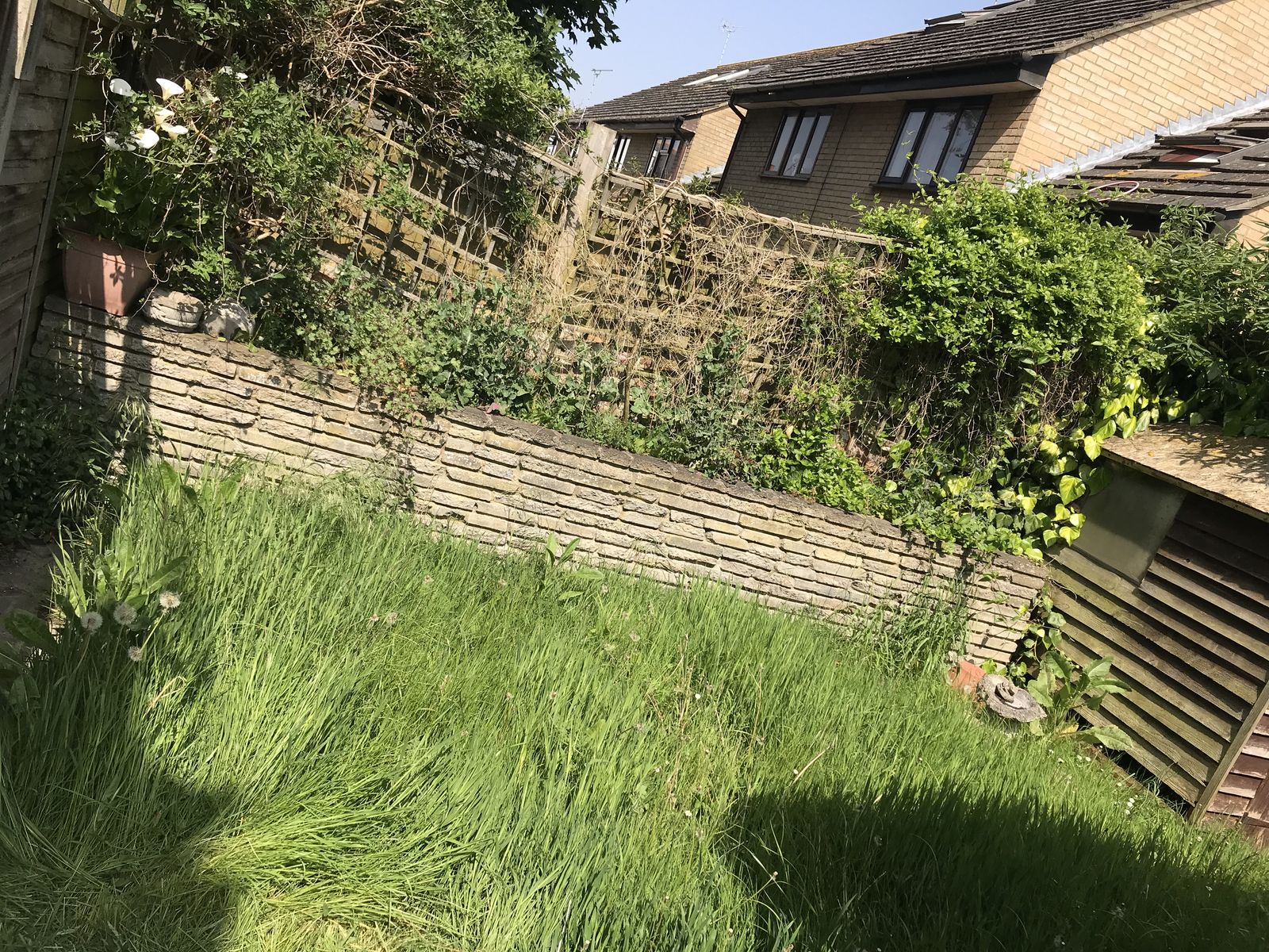 Before & after: Overgrown garden gets a glow up to become a charming ...