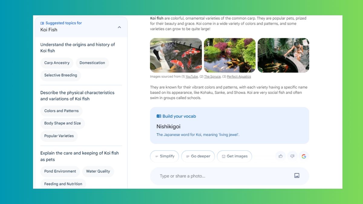 I tried Google Learn About to care for my koi fish— here’s what ...