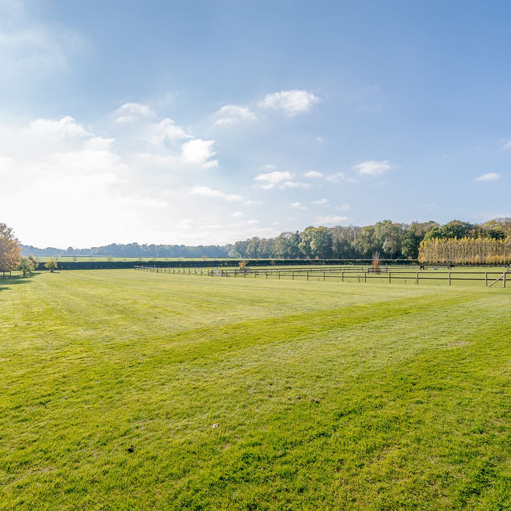 Park Farm is an idyllic countryside home with an impressive 38 acres ...