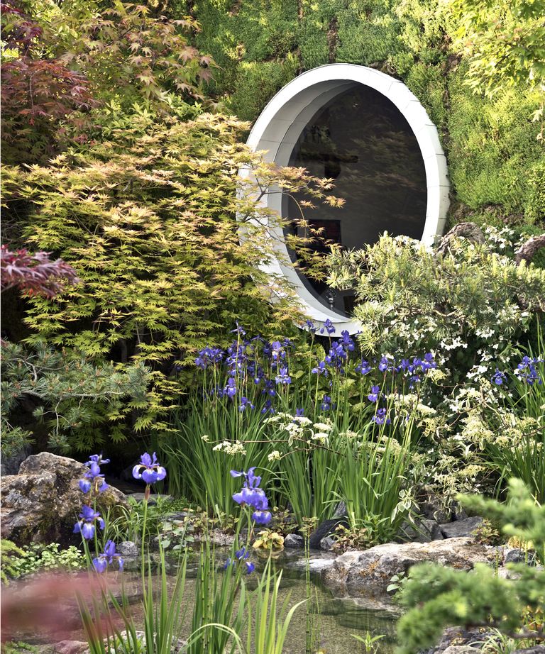 Chelsea Flower Show 2025: Ultimate guide for first timers | Homes and ...
