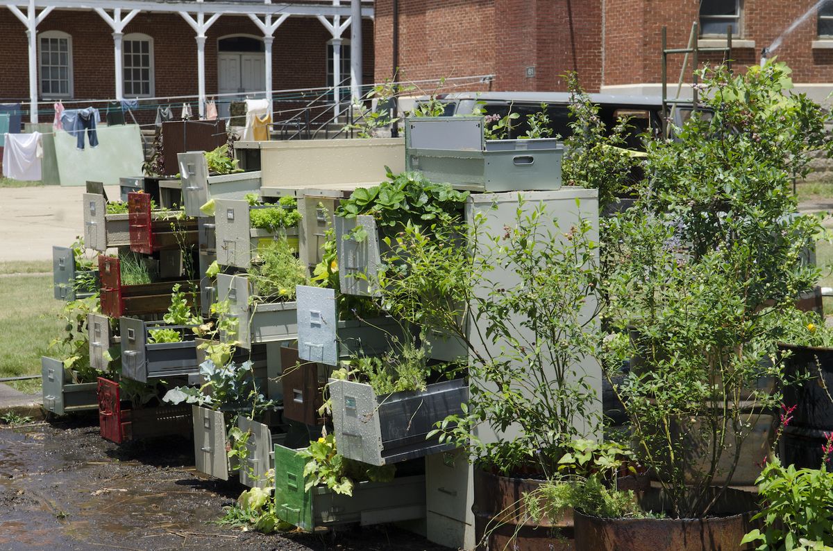 How to Farm During a Zombie Apocalypse | Live Science