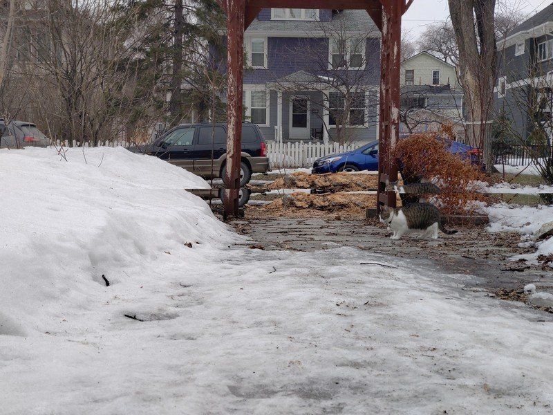 Razer Phone 2 review re-do: Still great, but Android Pie doesn't fix ...