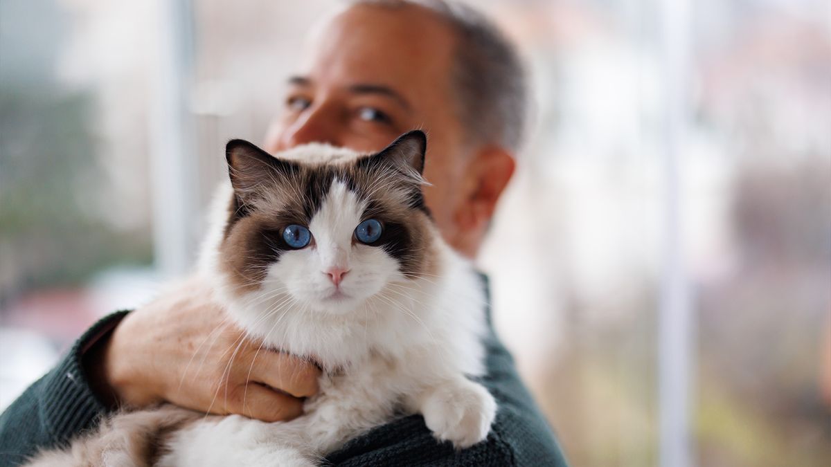 Best pets for autistic people: Children and adults | PetsRadar